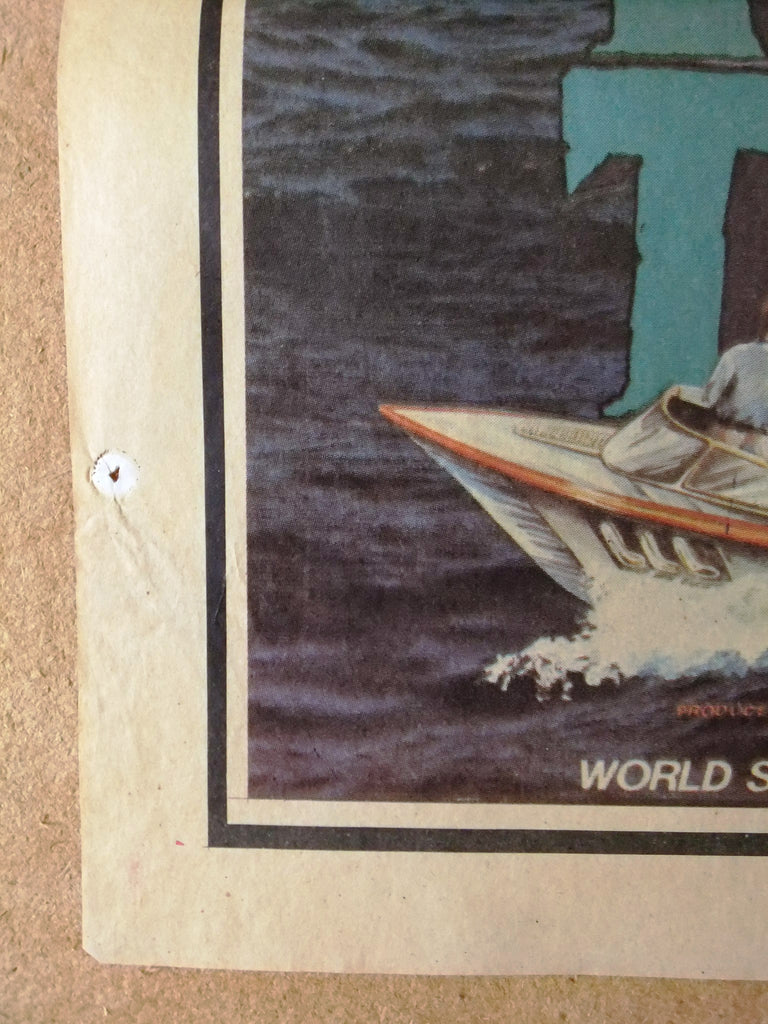 Ninja Terminator Poster – Braichposters