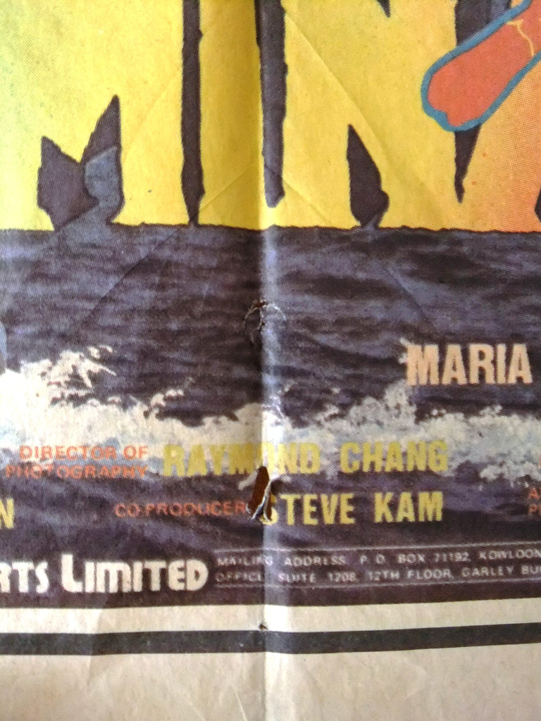 Ninja Terminator Poster – Braichposters