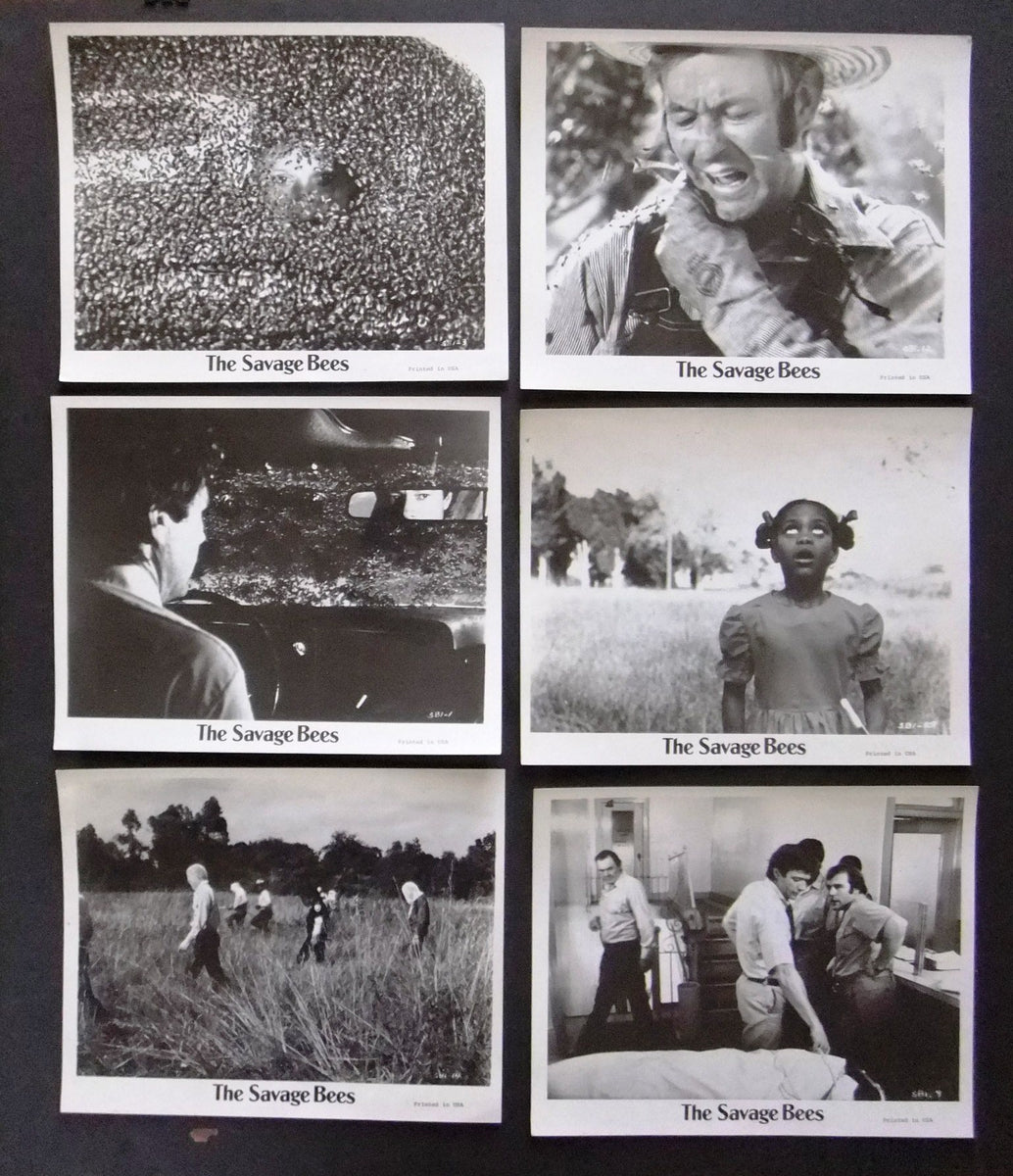 (Set of 22) The Savage Bees Christina Raines ORG Movie Photos 70s ...