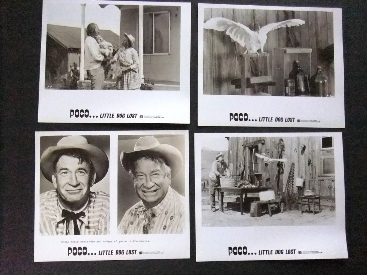 {Set of 18} Poco the adventures of a little dog lost ORG Movie Photos ...