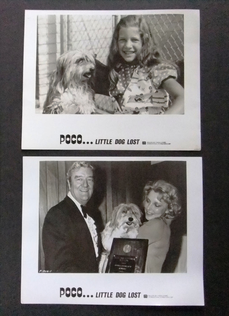 {Set of 18} Poco the adventures of a little dog lost ORG Movie Photos ...