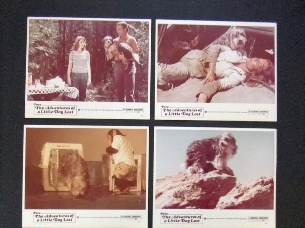{Set of 6} Poco the adventures of a little dog lost ORG Movie Photos 7 ...
