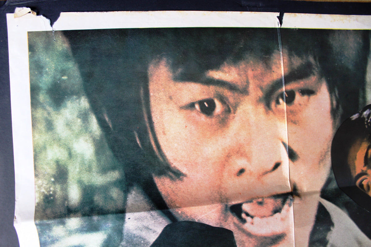The Insanity Being (Yu Tien-Lung) 39x27" Kung Fu Lebanese Original Mov ...