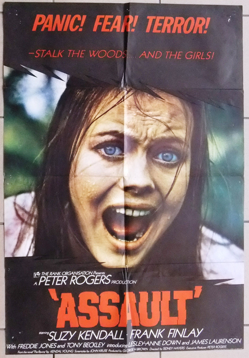 Assault Poster – Braichposters