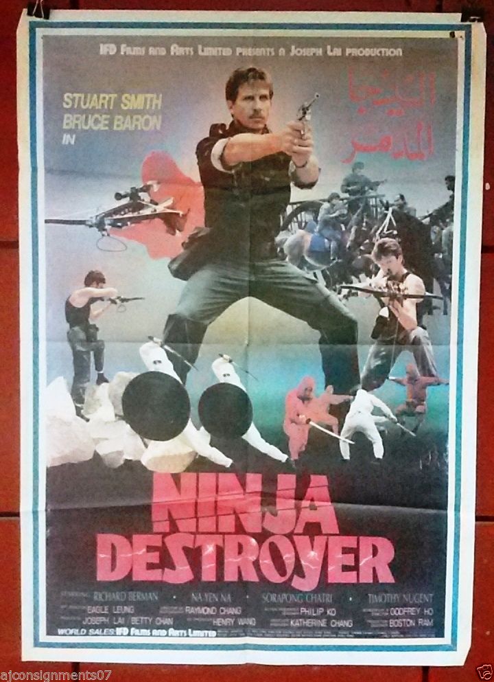 Ninja Destroyer Poster – Braichposters
